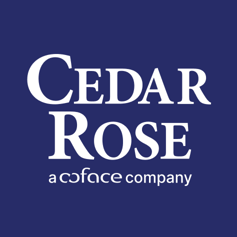 Risk Management & Compliance Services | Cedar Rose